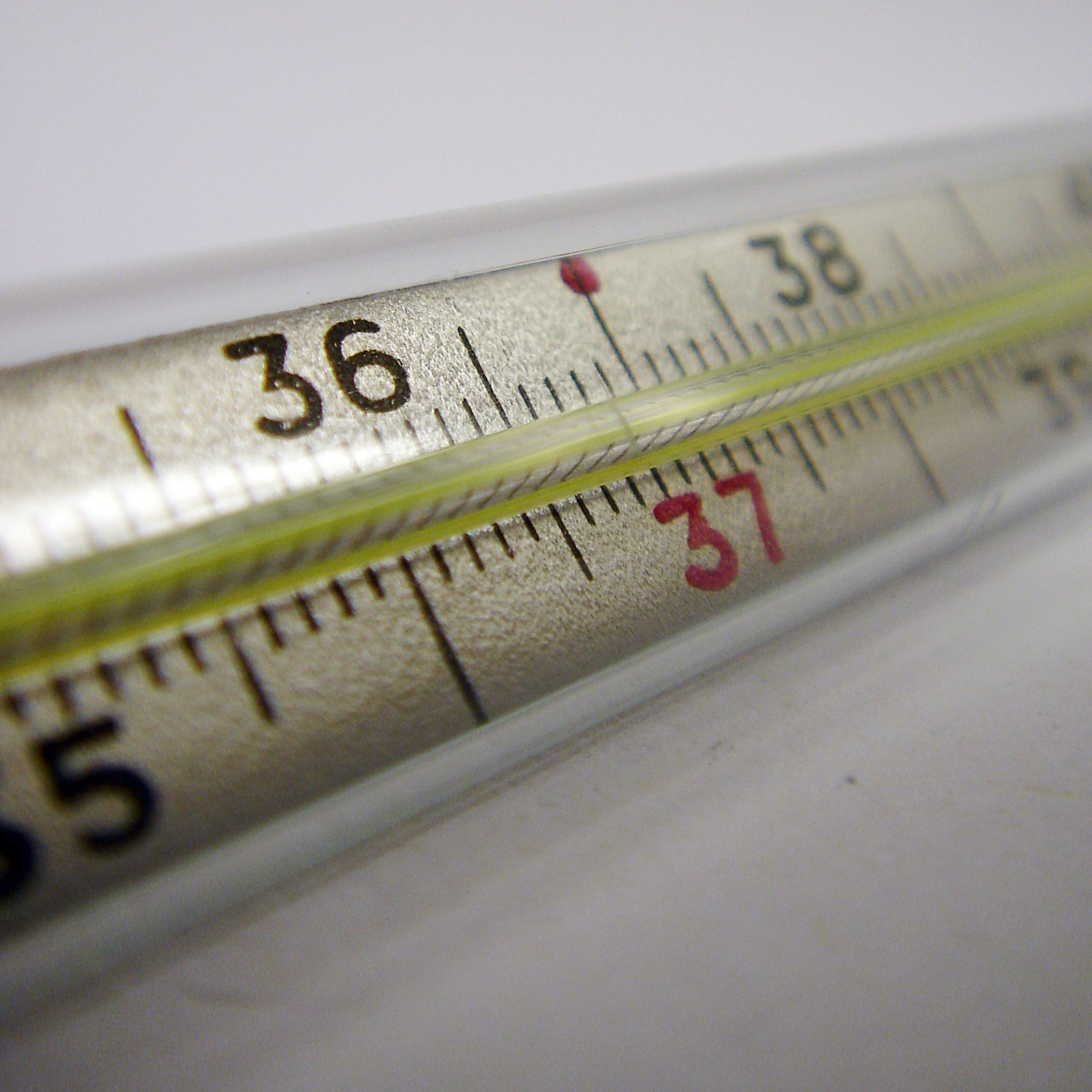 Citizens' Panel | Involve