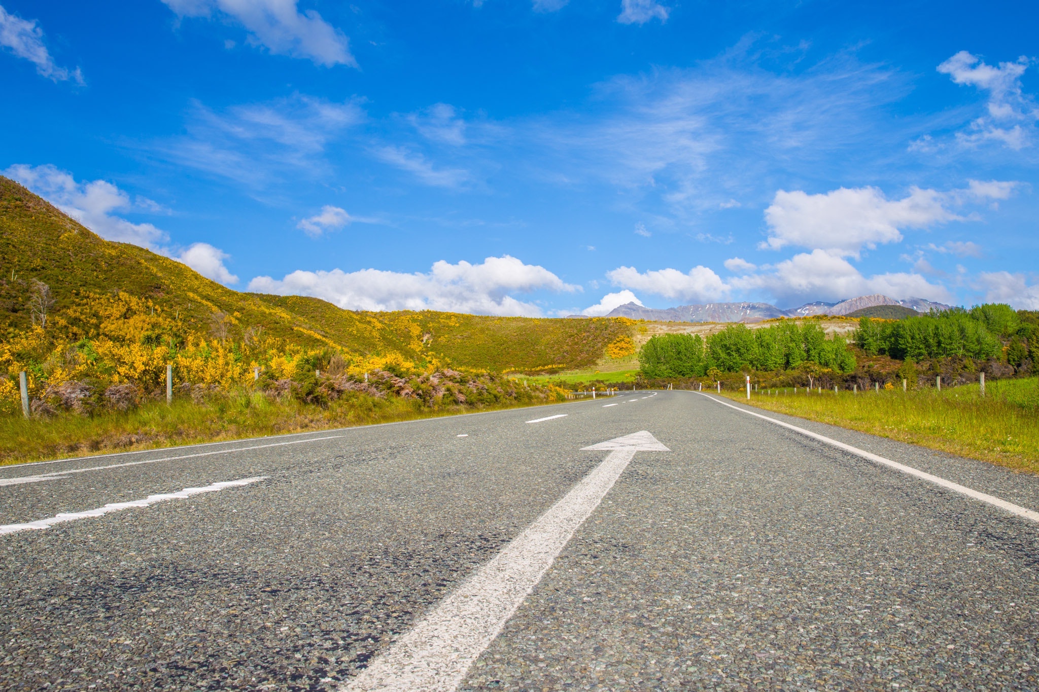 Action Planning | Involve